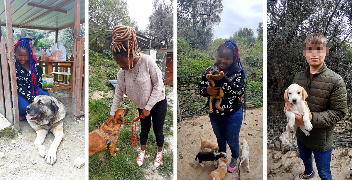 Visit to a shelter for stray dogs in Samos on the occasion of World ...