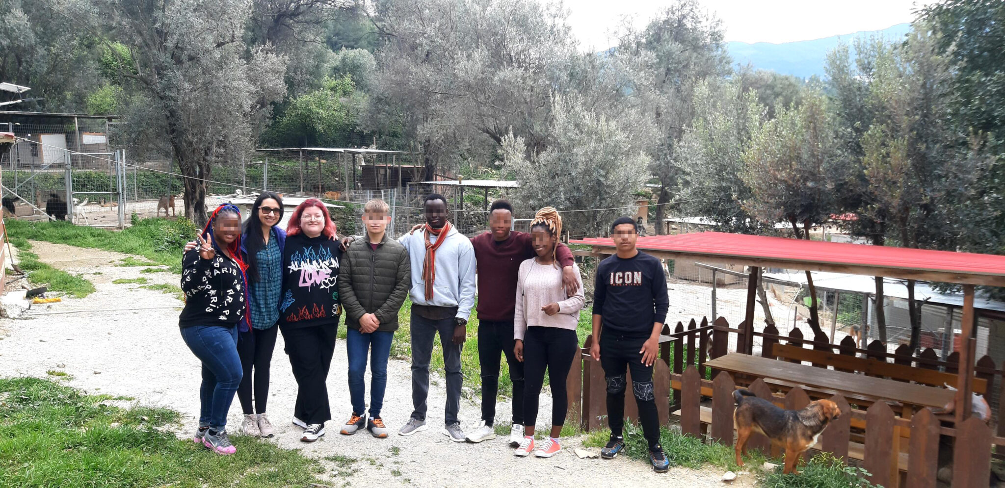 Visit to a shelter for stray dogs in Samos on the occasion of World ...